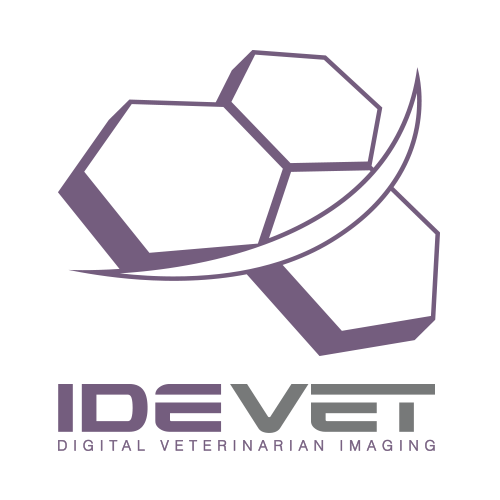 IDeVet, digital and conventional veterinary radiology : Idevet Digital ...